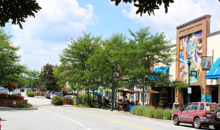 Visitors' Guide to Hendersonville: Something for Everyone - Henderson ...